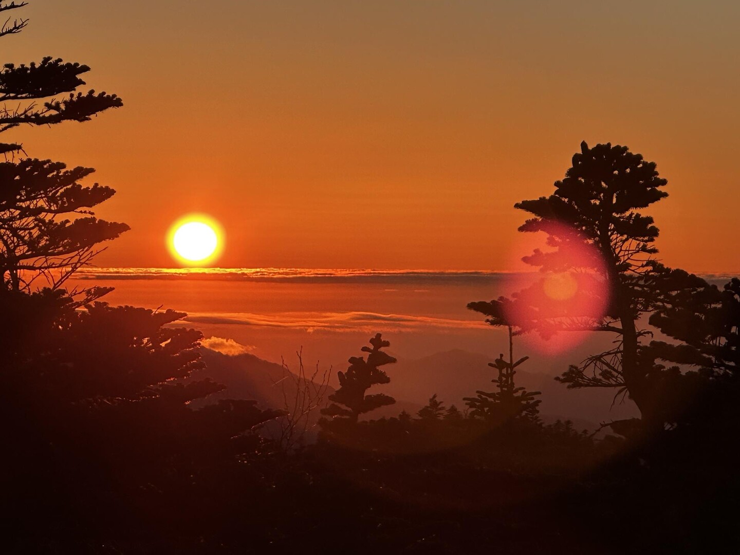 国師ヶ岳、北奥千丈岳でSUN RISE / グリグラさんのウォーキングの活動データ | YAMAP / ヤマップ