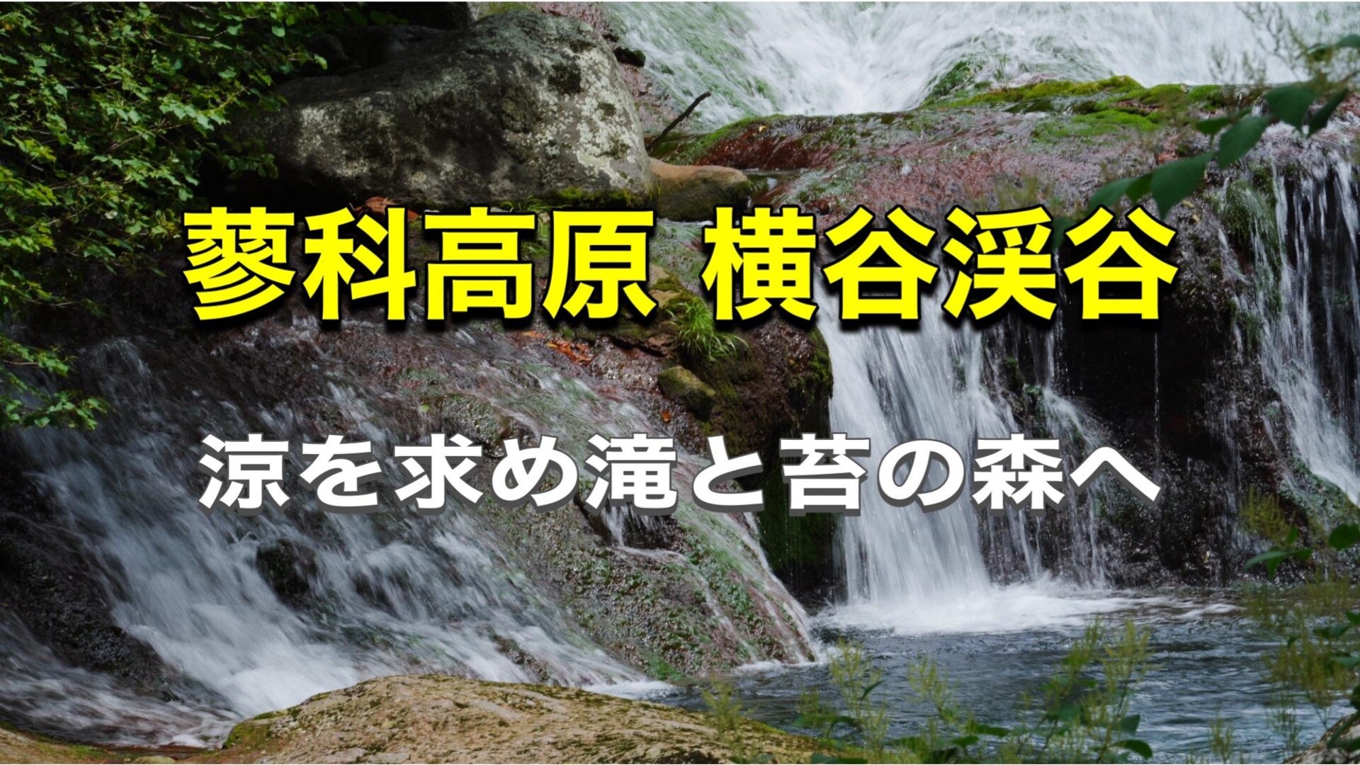 先週、奥蓼科の滝と苔の森に行きました。Y... / リタイアSUPさんのモーメント | YAMAP / ヤマップ