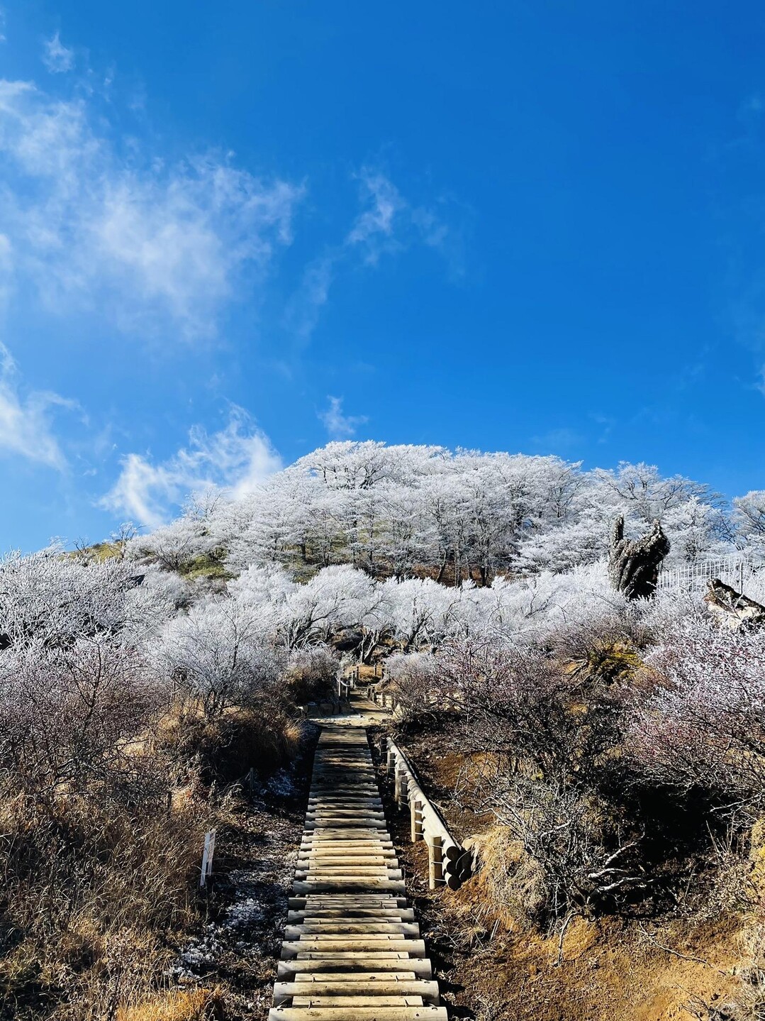 大倉ー蛭ヶ岳(蛭トン) 〜本日はついに…〜 / Mtrさんの塔ノ岳・丹沢山・蛭ヶ岳の活動データ | YAMAP / ヤマップ