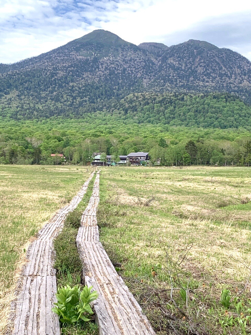 尾瀬ハイク / nakaekoさんの尾瀬・燧ヶ岳の活動データ | YAMAP / ヤマップ
