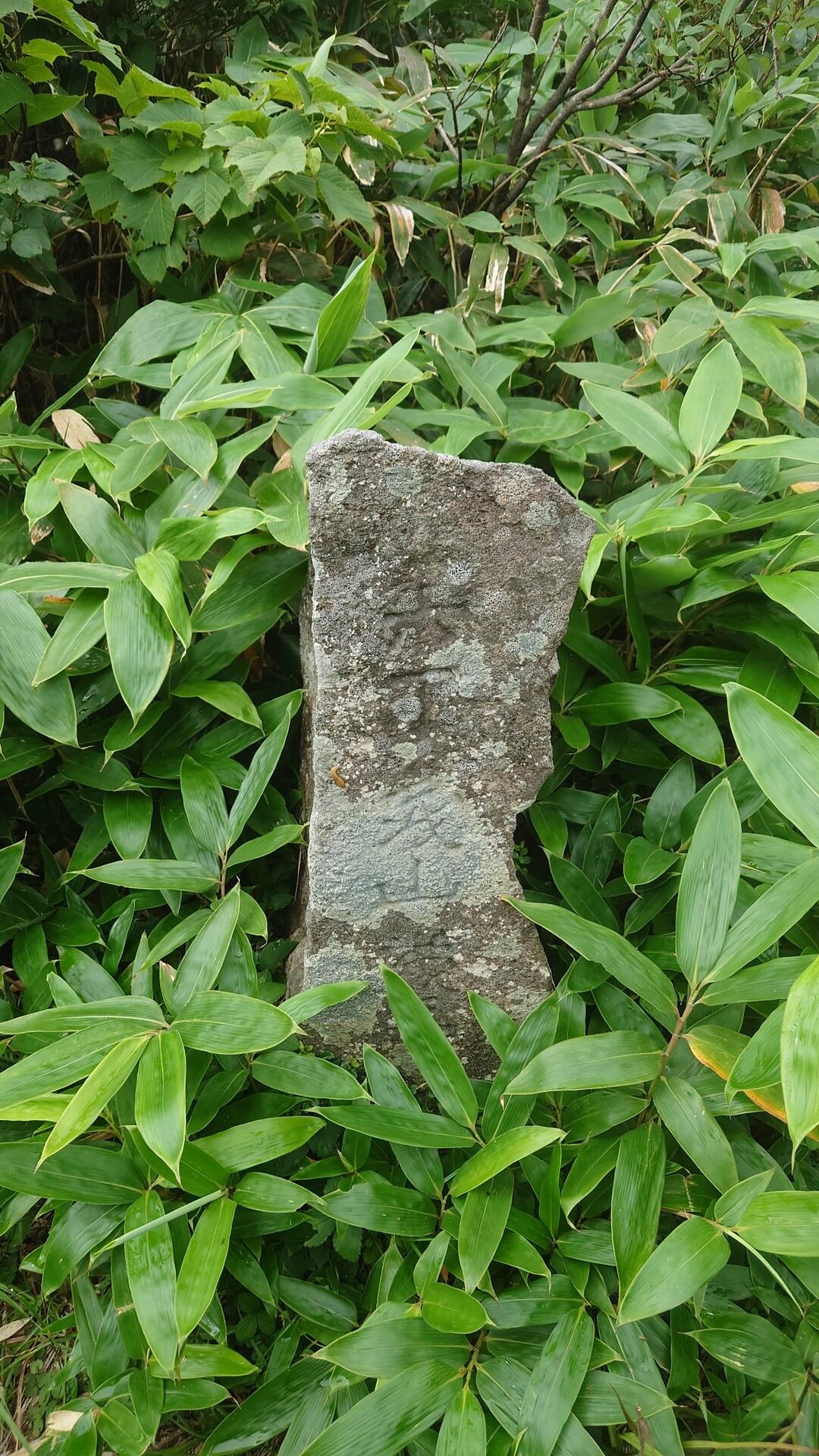 blackmoreさんの投稿したフィールドメモ | YAMAP / ヤマップ