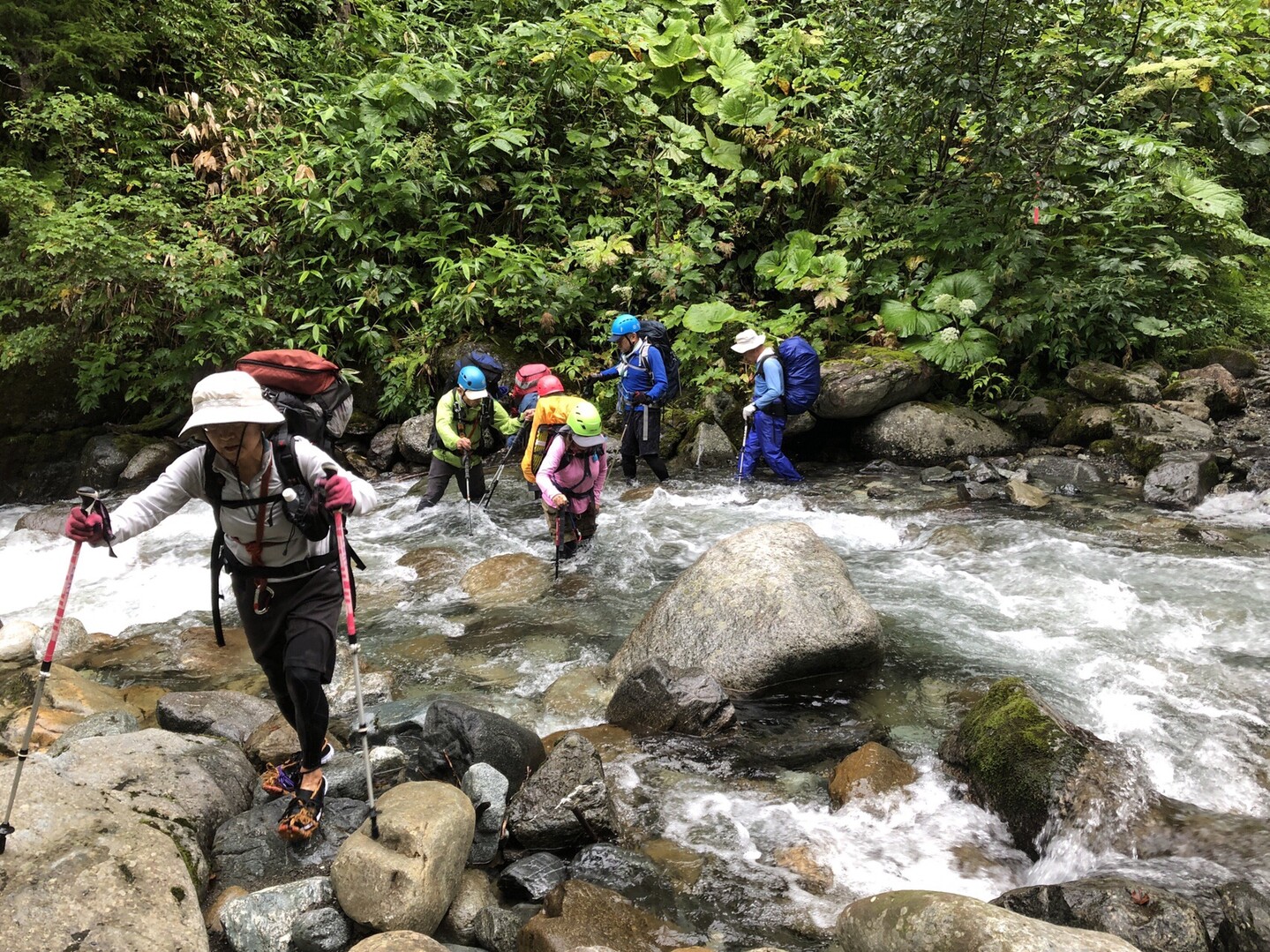 試練の幌尻岳 2日目 / M K1218さんの幌尻岳・戸蔦別岳・伏美岳の活動日記 | YAMAP / ヤマップ