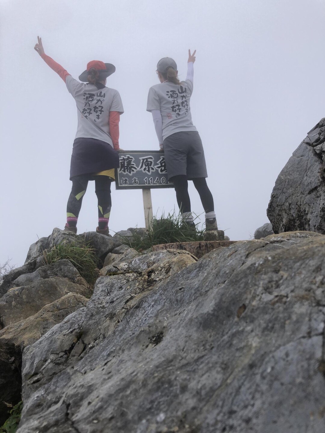 藤原岳 / tomobuuさんの藤原岳・御池岳の活動データ | YAMAP / ヤマップ