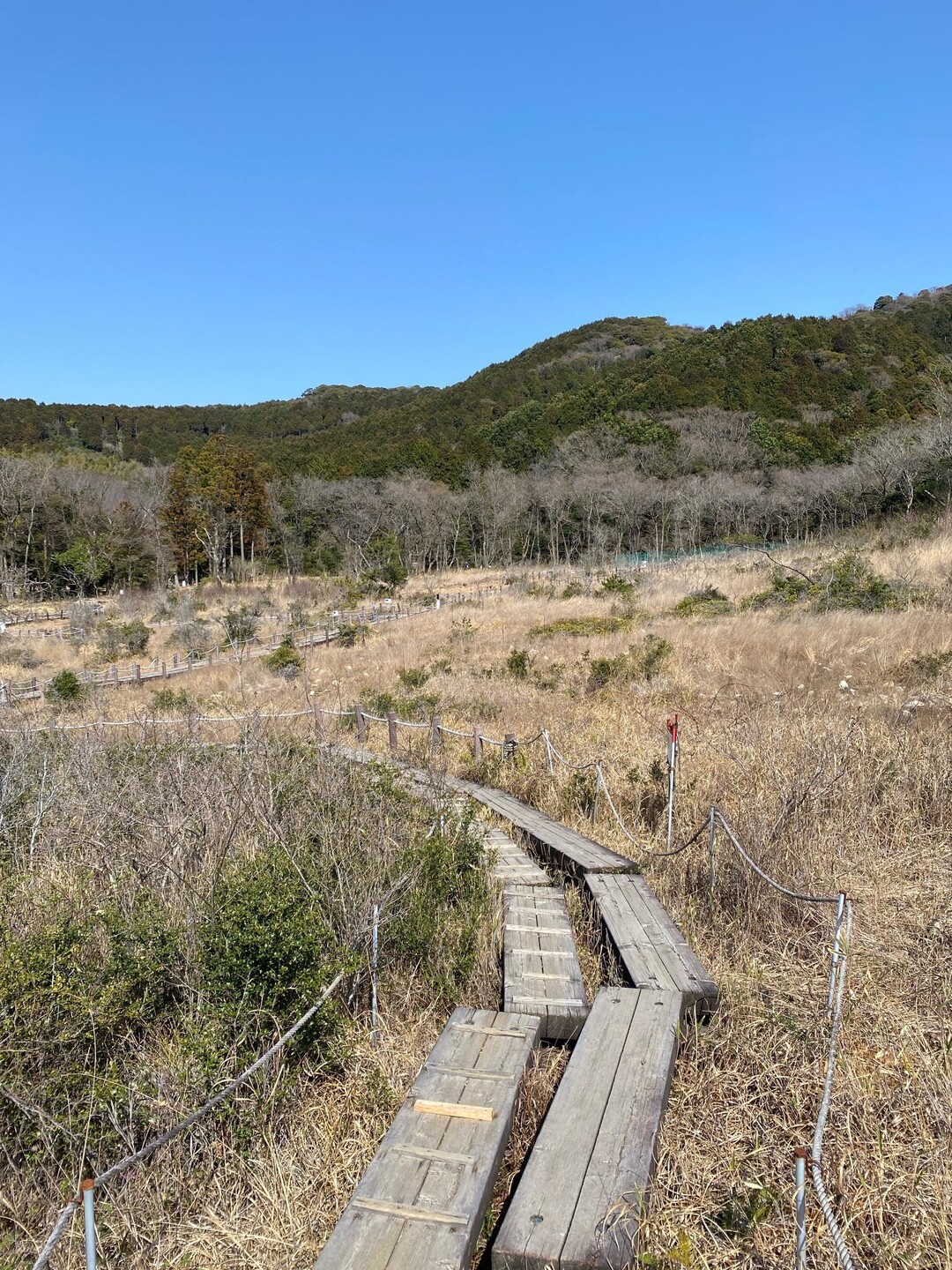 葦毛湿原散策♪ 2024-03-22 / Baziruさんの坊ヶ峰・石巻山・神石山・葦毛湿原の活動データ | YAMAP / ヤマップ
