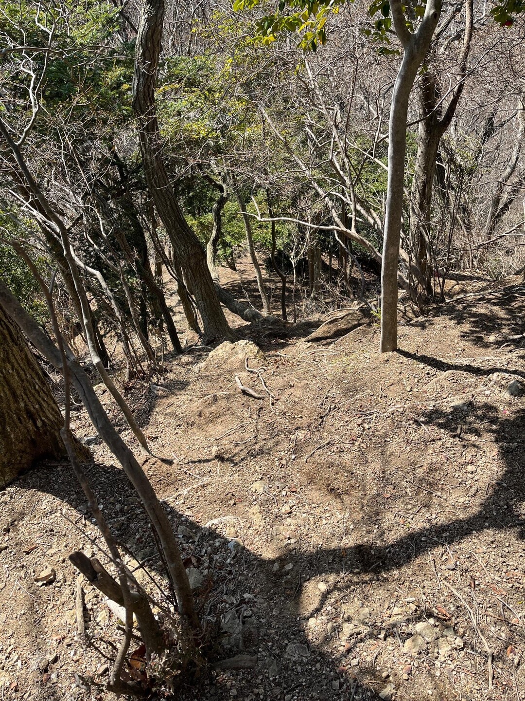 mskふぅさんの投稿したフィールドメモ | YAMAP / ヤマップ