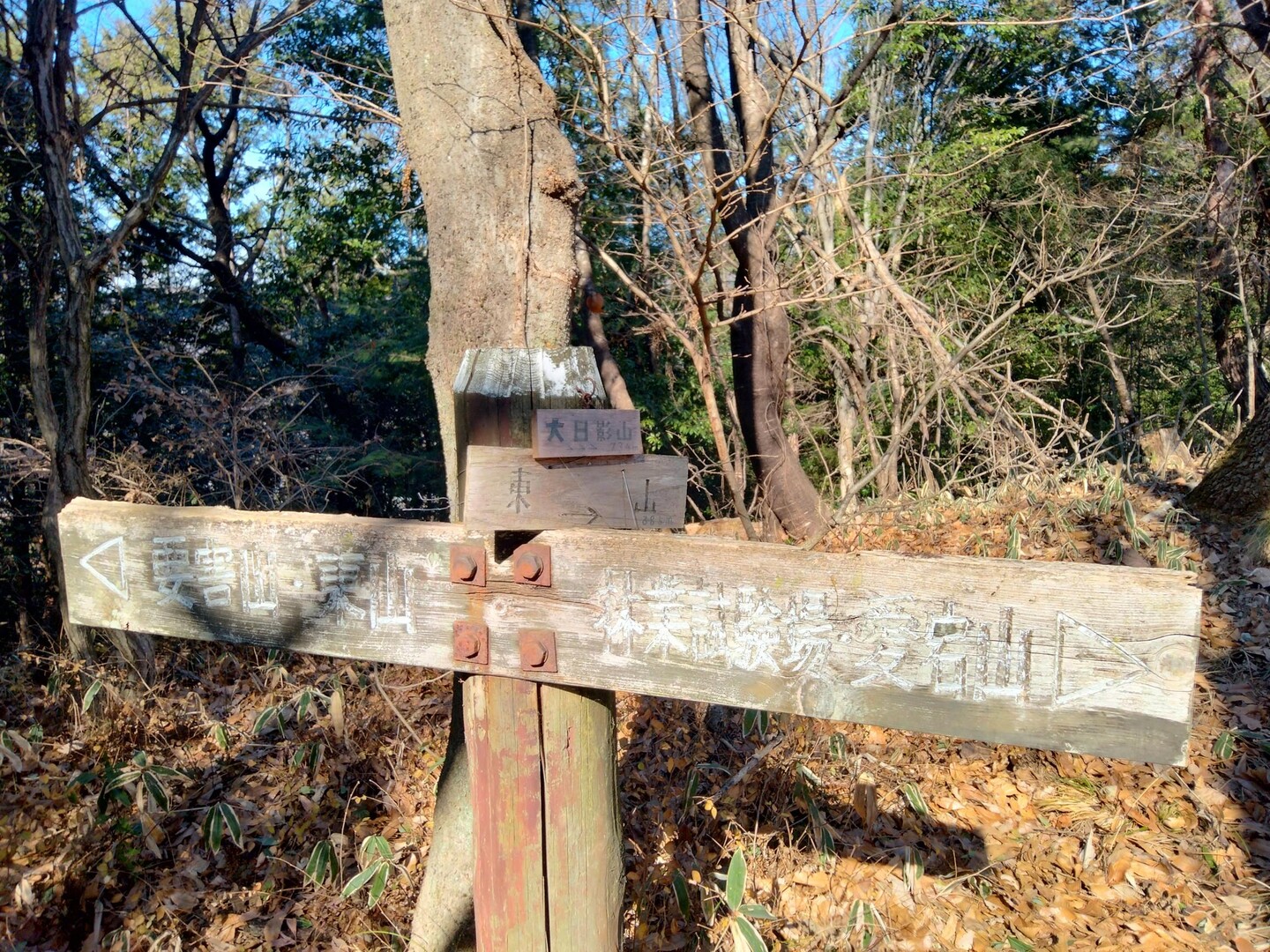 Little Myさんの投稿したフィールドメモ | YAMAP / ヤマップ