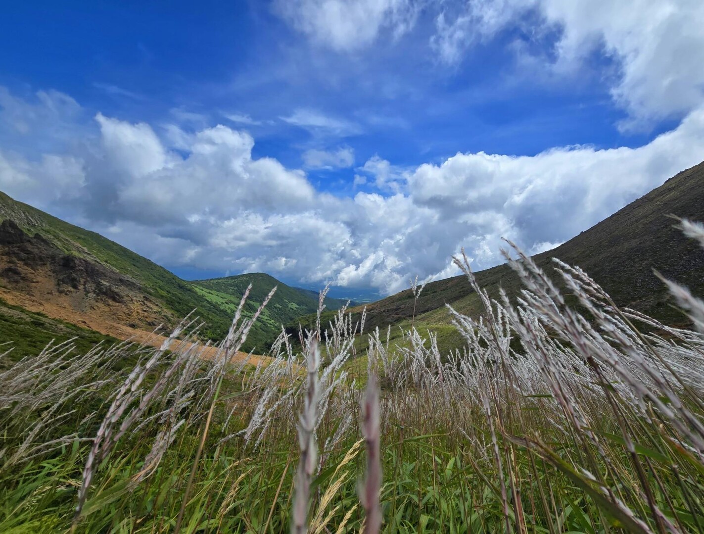 茶臼岳(那須岳)・剣が峰・朝日岳 / MCボビヲさんの茶臼岳（那須岳）・三本槍岳・赤面山の活動データ | YAMAP / ヤマップ
