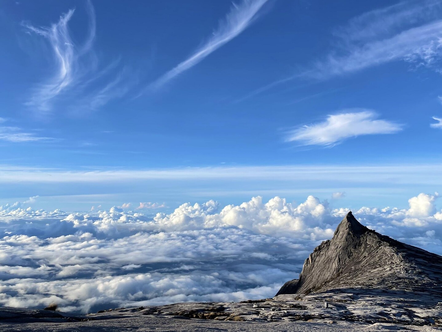 4095Mキナバル山 / tuk0801さんのキナバル山の活動データ | YAMAP / ヤマップ