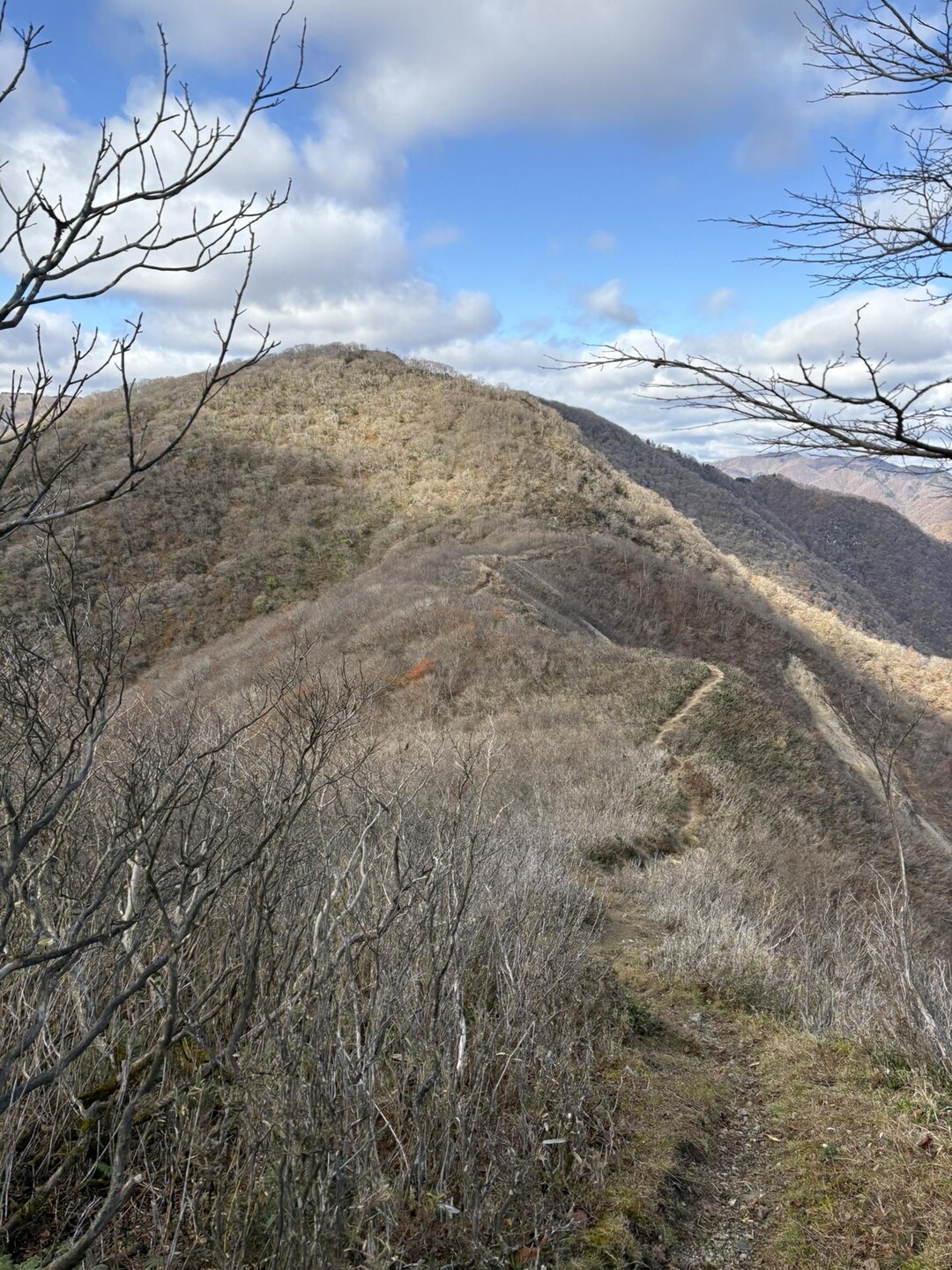 国見岳・大禿山・御座峰 / aspiさんの伊吹山・伊吹高原・御座峰の活動データ | YAMAP / ヤマップ