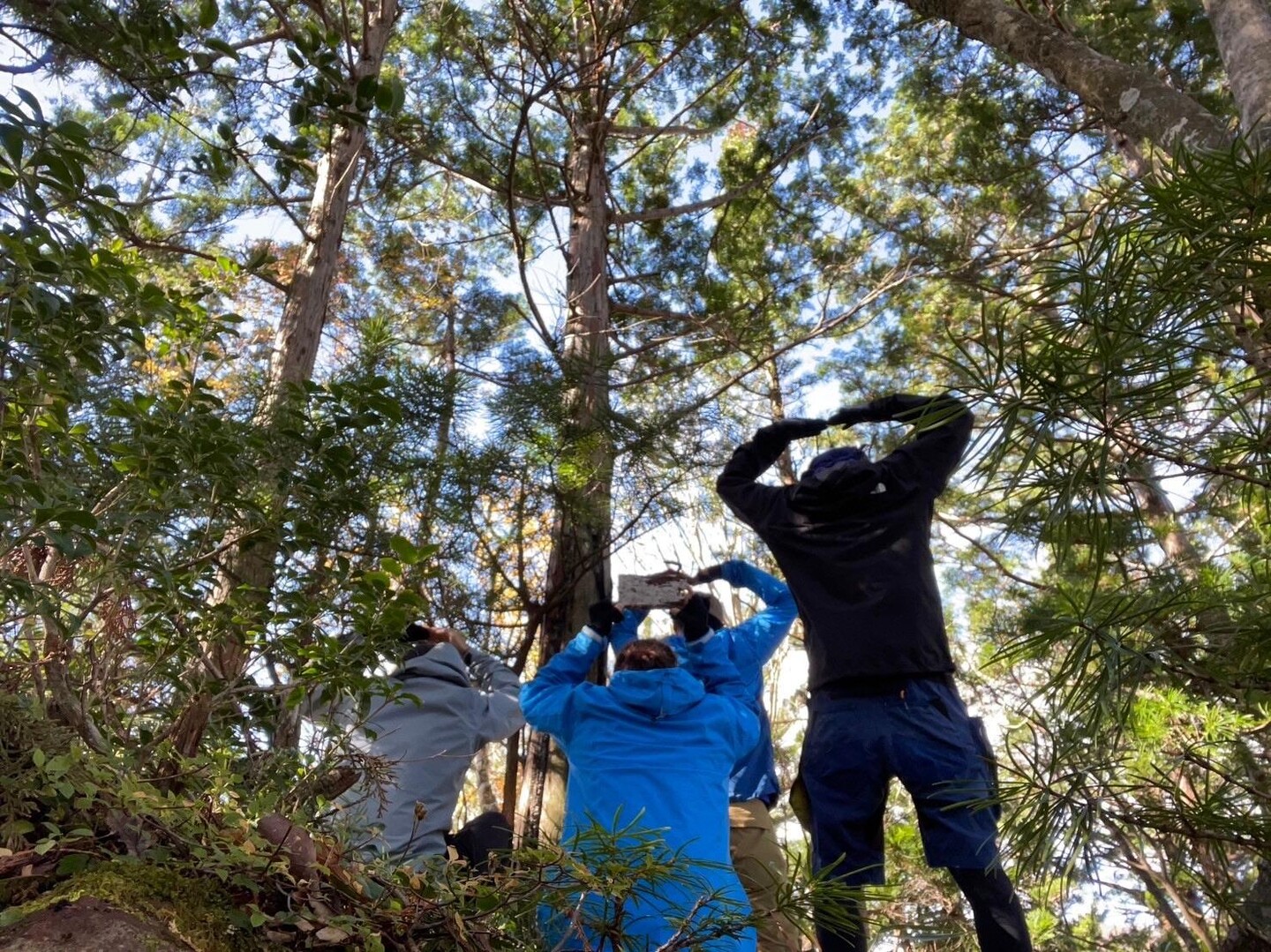 坊主の頭も3度⁉️奥坊主・口坊主・🦆 / 良 ⛩ OKDさんの大台ヶ原山・日出ヶ岳・大杉谷の活動データ | YAMAP / ヤマップ