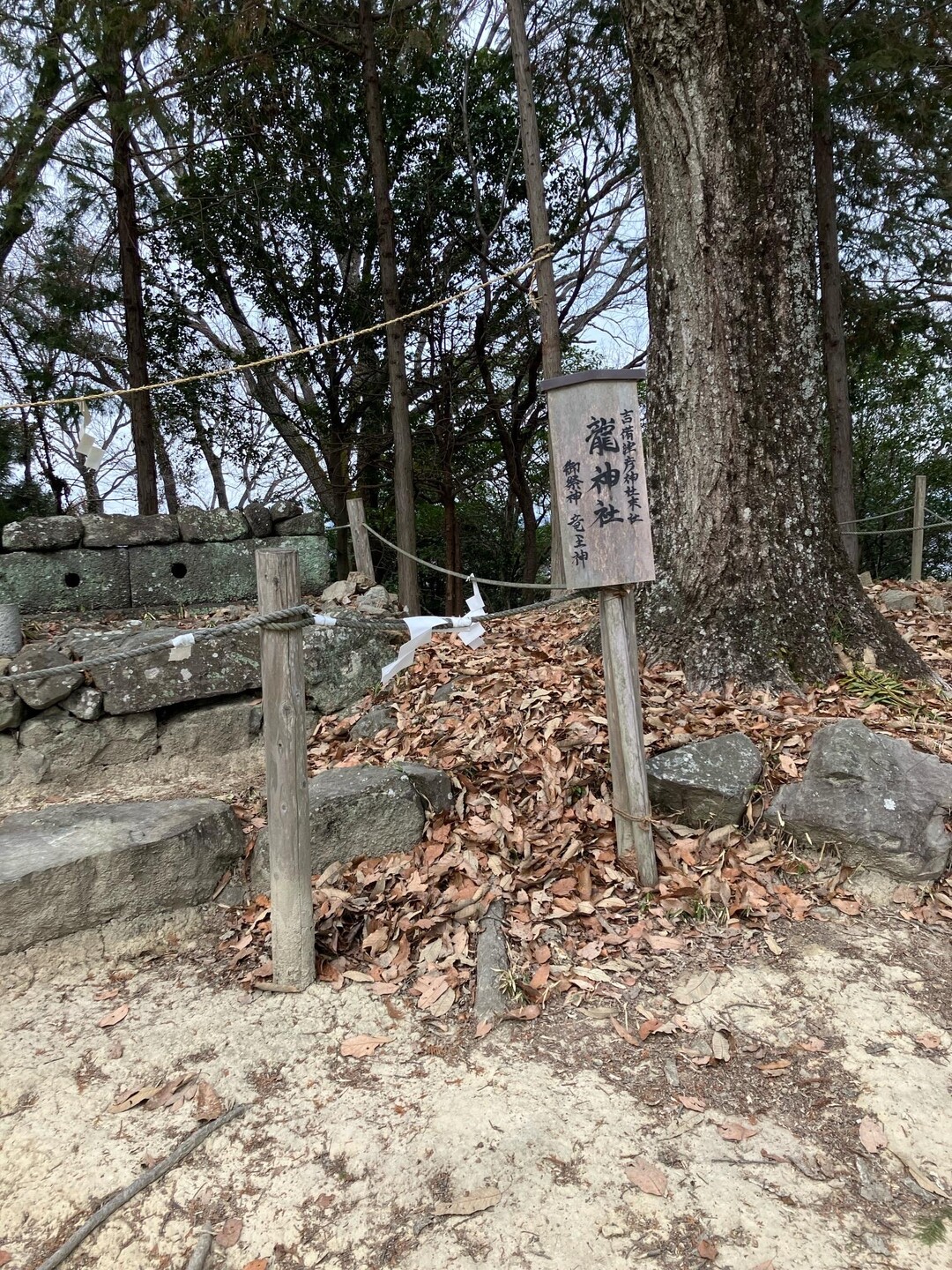 吉備中山・龍王山 / Ei.tさんの吉備中山・龍王山の活動データ | YAMAP / ヤマップ