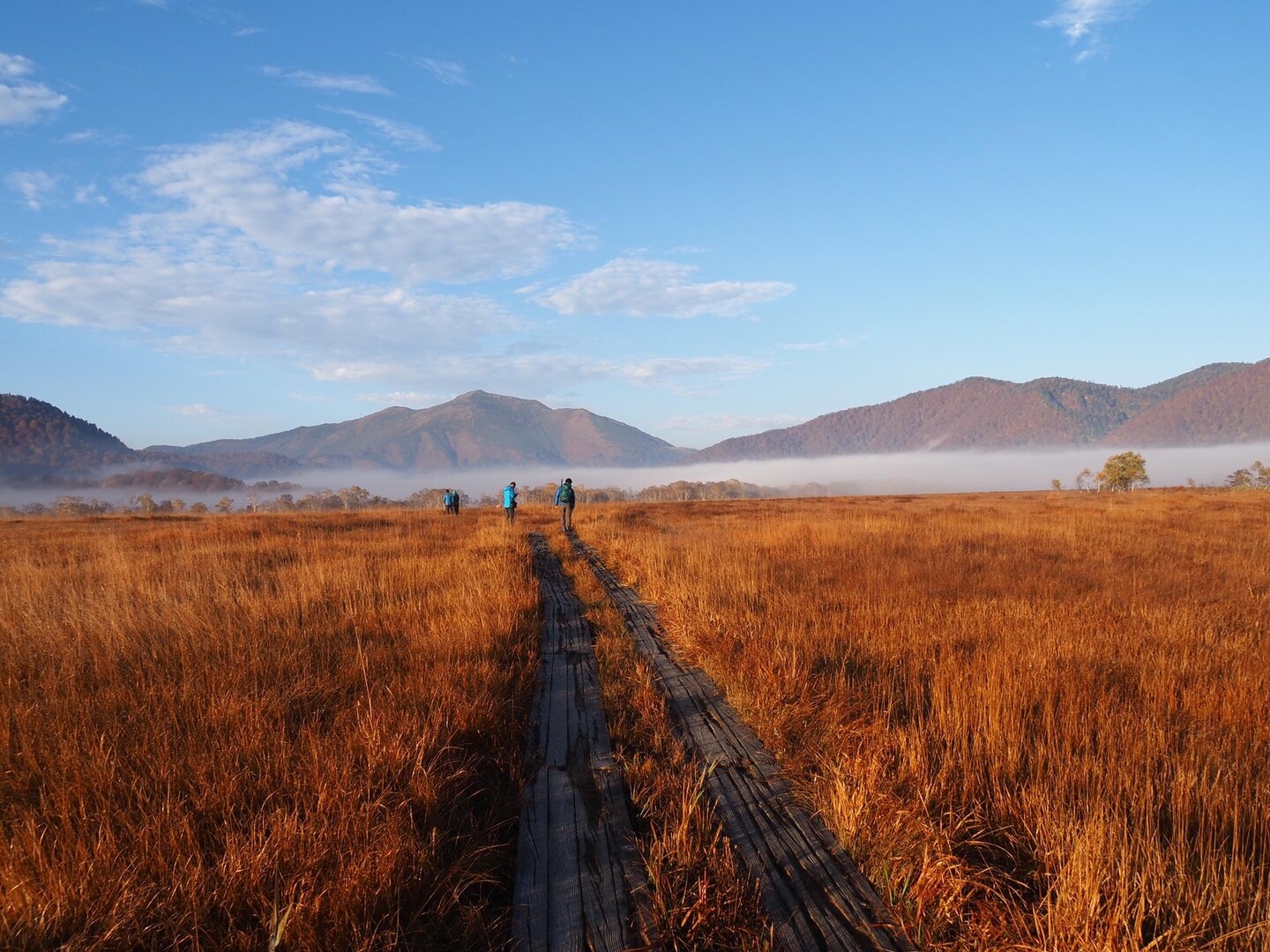 男旅2022秋 尾瀬沼・尾瀬ヶ原 / Matchanさんの尾瀬・燧ヶ岳の活動データ | YAMAP / ヤマップ