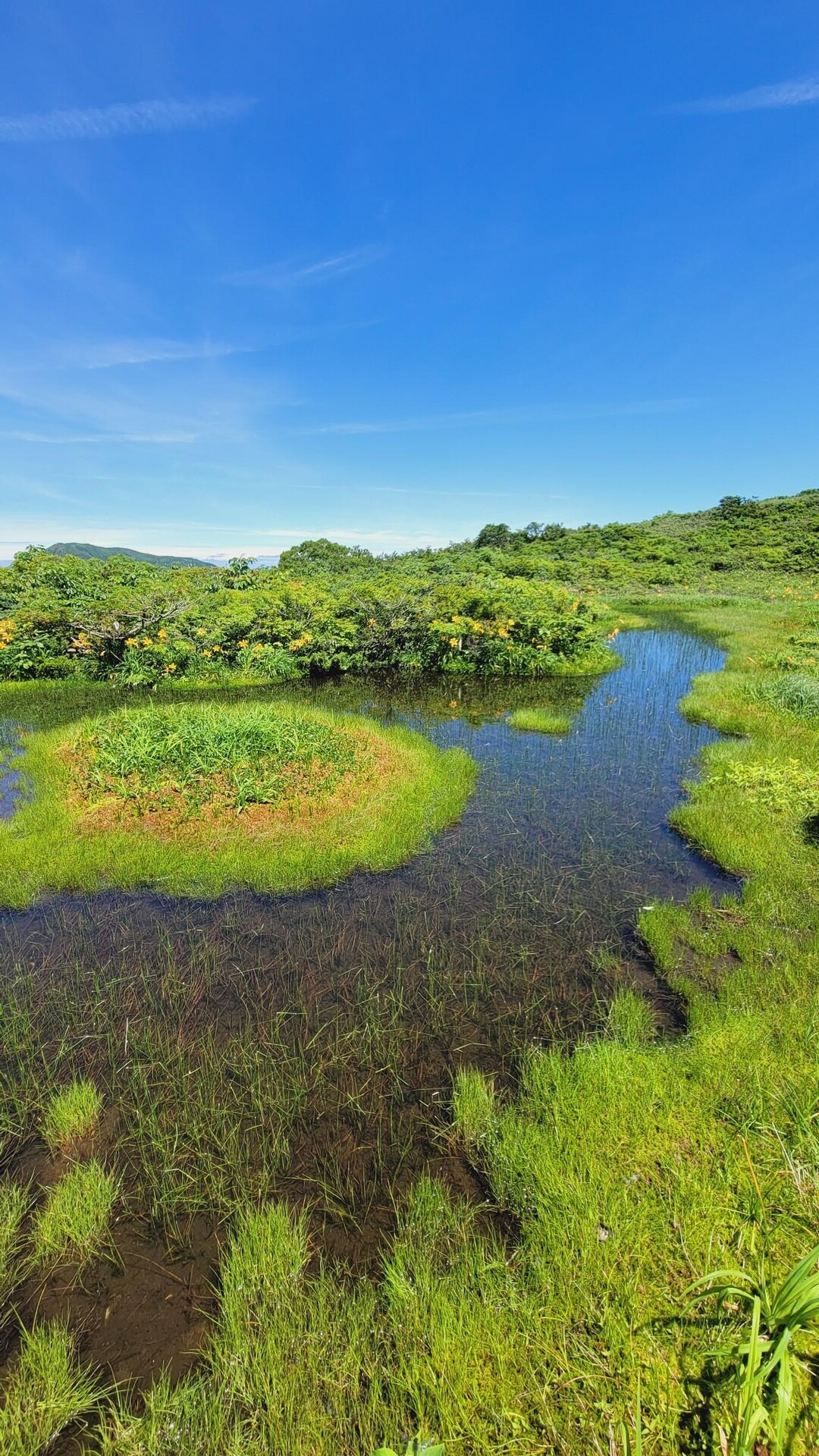 赤兎山 / yellさんの赤兎山・猪鼻山の活動データ | YAMAP / ヤマップ