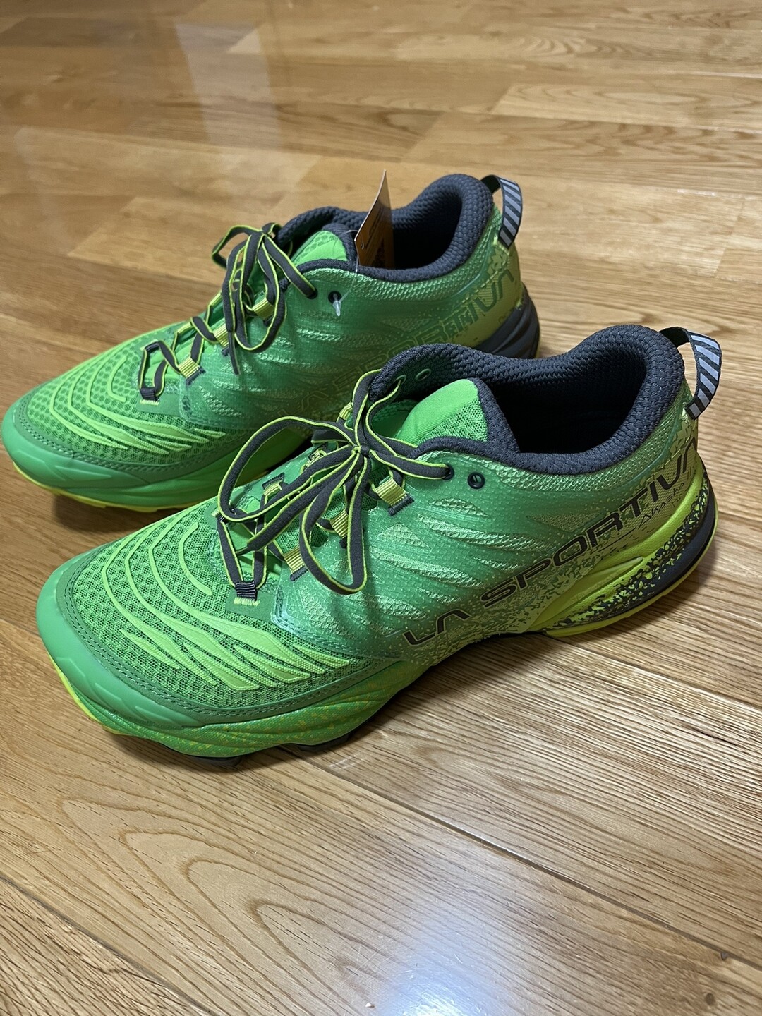 毎日の靴チェック☺️ へそくりが....... / ざっきーさんのモーメント | YAMAP / ヤマップ