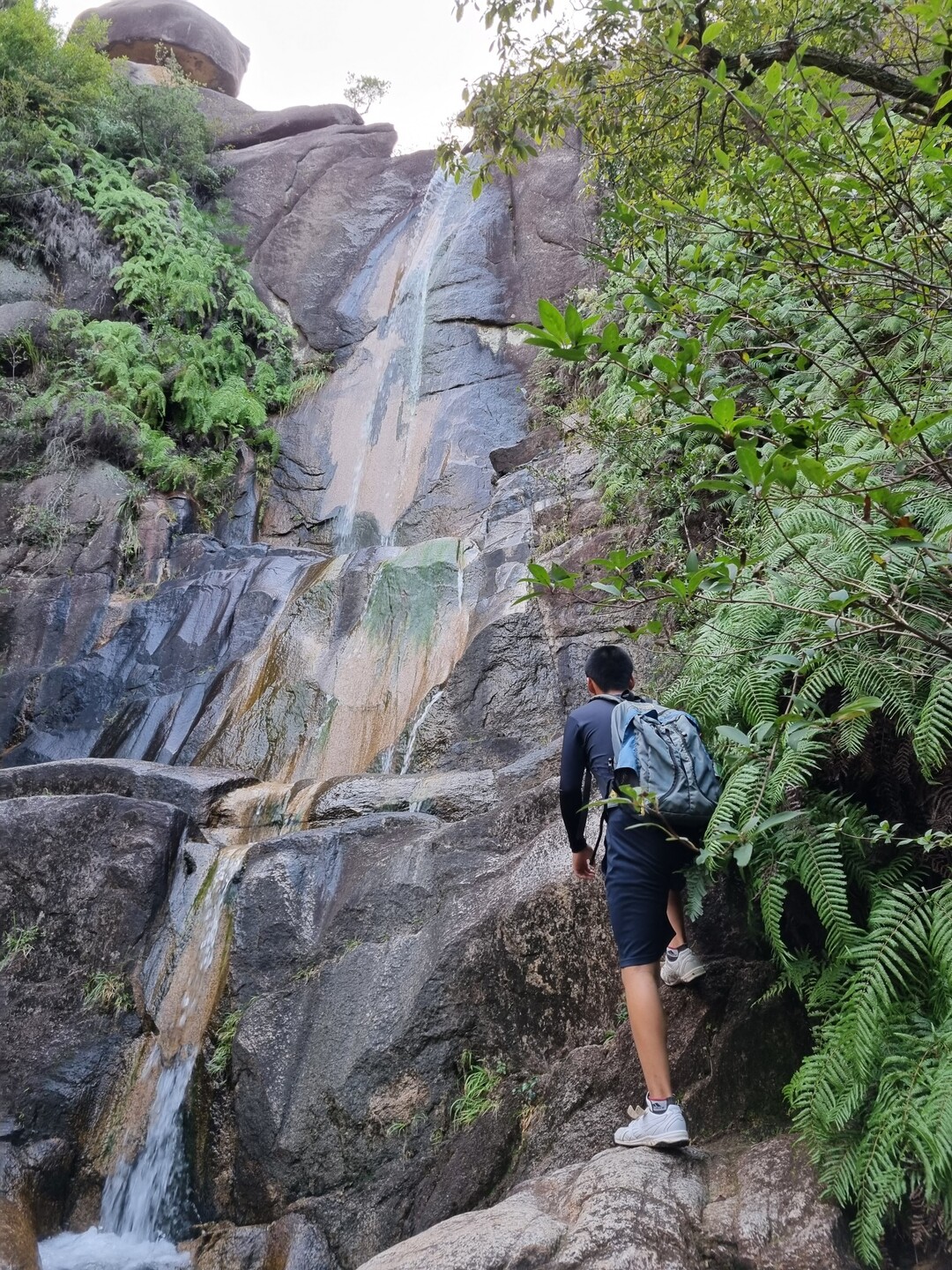 天狗岩 / TKGさんの金勝アルプス（鶏冠山・竜王山）の活動データ | YAMAP / ヤマップ