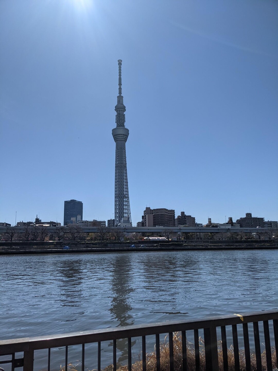 2024.3.27水曜日 押上駅9時から... / haru さんのモーメント | YAMAP / ヤマップ