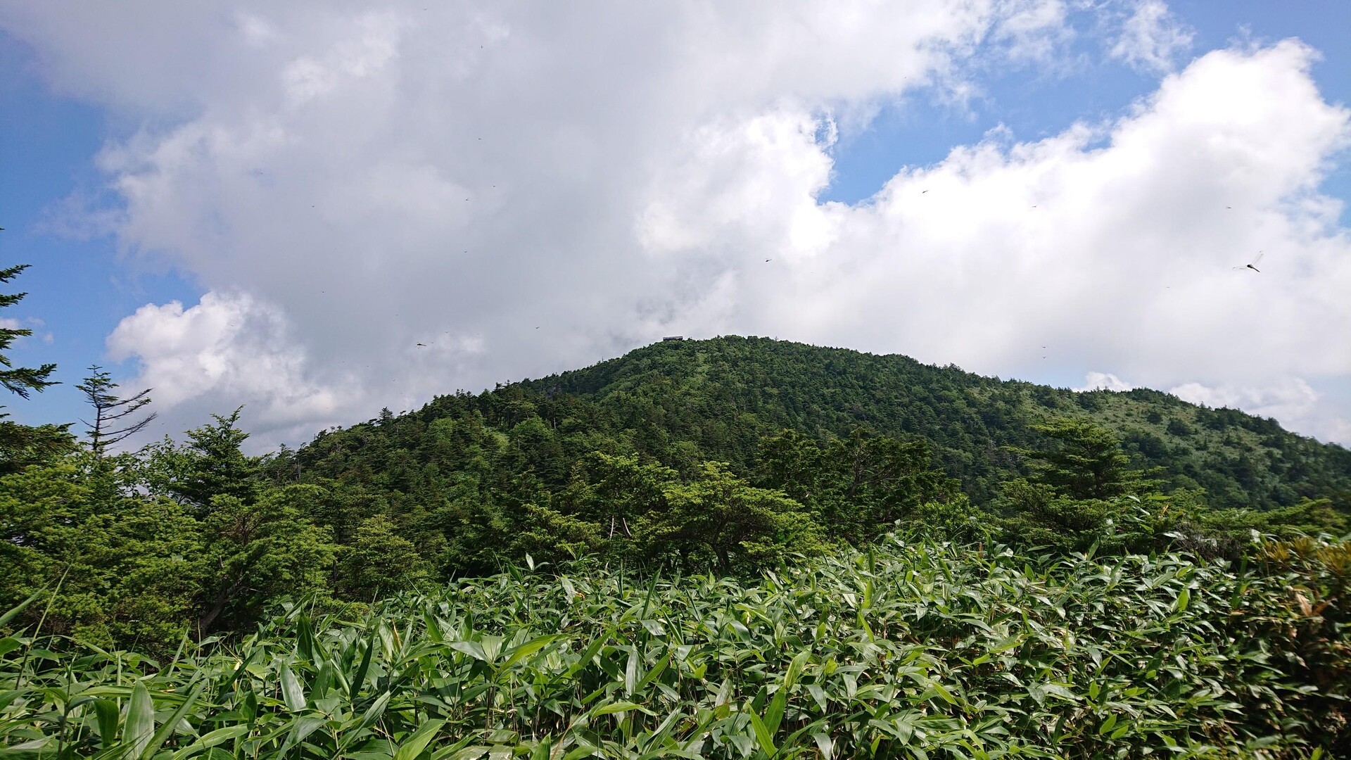 Party-party 小秀山にて / big 9さんの小秀山の活動データ | YAMAP / ヤマップ