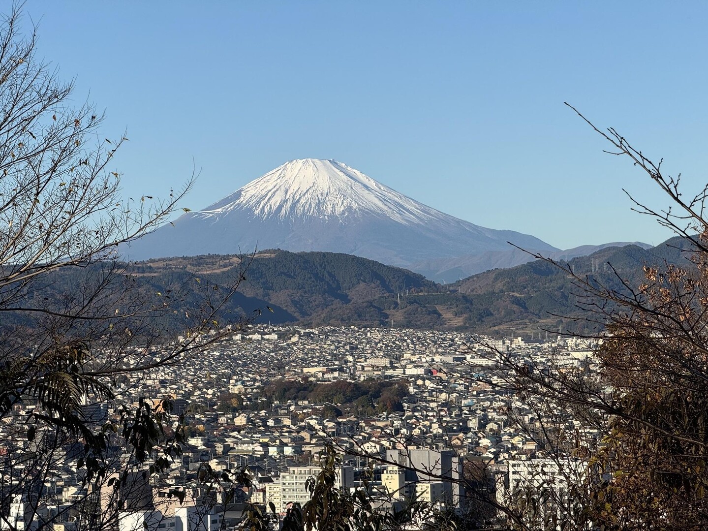 約半世紀振りの弘法山 / shinshinさんの塔ノ岳・丹沢山・蛭ヶ岳の活動データ | YAMAP / ヤマップ