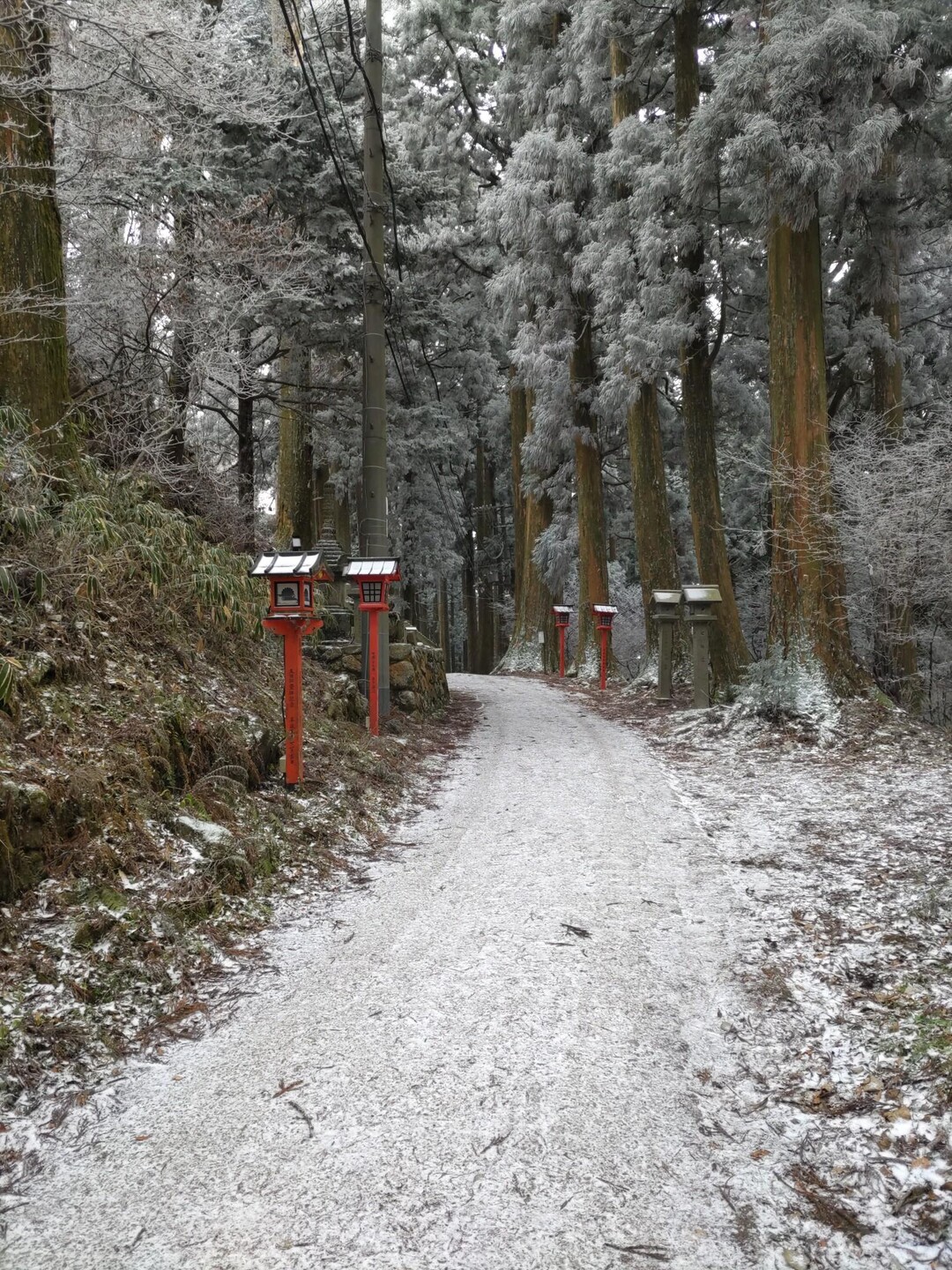 金剛山 赤坂古道 道の駅から / T64さんの葛城修験エリアマップ（金剛山周辺）の活動データ | YAMAP / ヤマップ