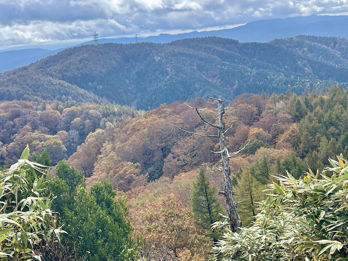 猪臥山🍁 / yukaさんの猪臥山の活動データ | YAMAP / ヤマップ