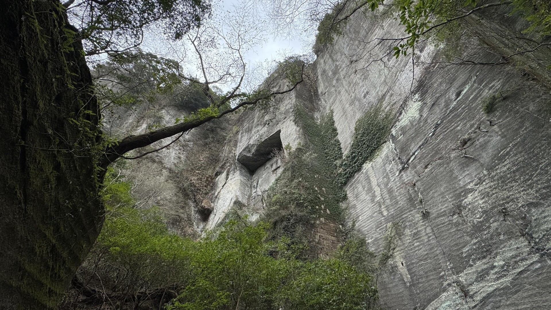 鋸山 / Tamiyoさんの鋸山の活動データ | YAMAP / ヤマップ