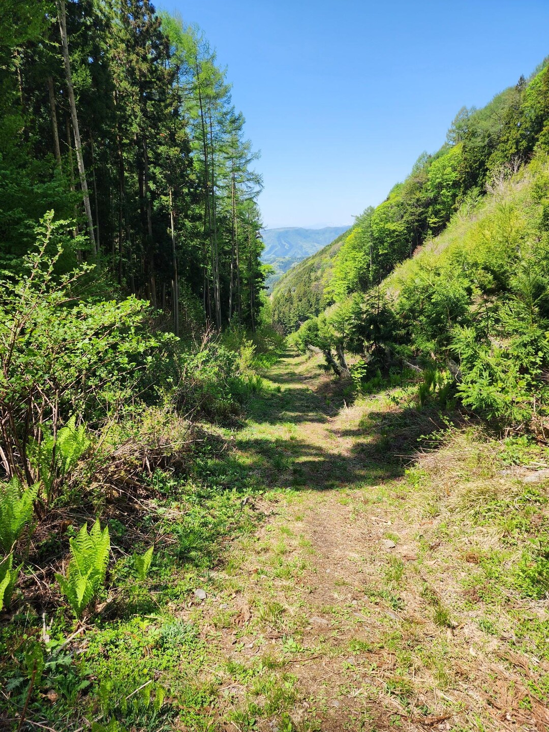 鉱石山・木賊山 / Monaさんの鉱石山・木賊山の活動データ | YAMAP / ヤマップ
