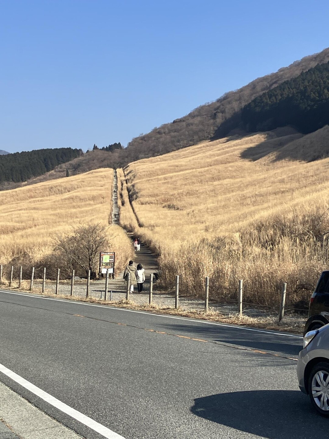 仙石原お散歩 / m@sumiさんの箱根山・神山の活動データ | YAMAP / ヤマップ