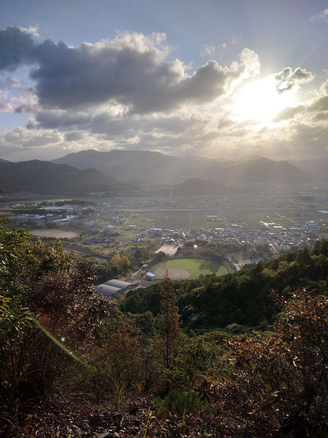 西林寺山 / palさんの八日山・西林寺山の活動日記 | YAMAP / ヤマップ