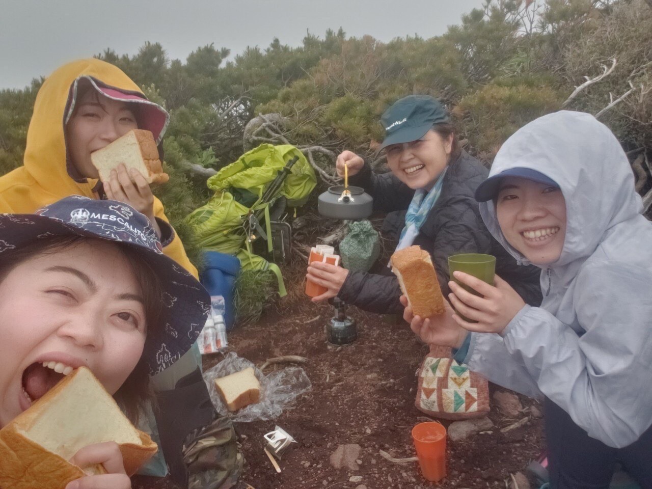 R4.5.30禁じられた雛岳へ / ちひろ（若年性山岳隊隊員）さんの八甲田山・高田大岳・雛岳の活動データ | YAMAP / ヤマップ