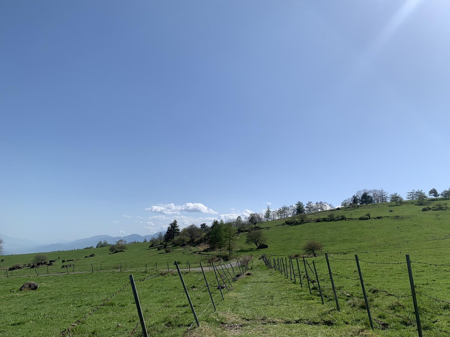 美し森山・天女山 / sumiさんの八ヶ岳（赤岳・硫黄岳・天狗岳）の活動データ | YAMAP / ヤマップ