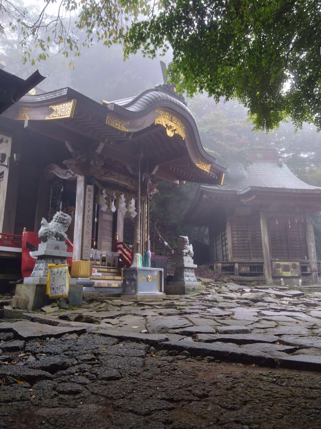 いつもソロばっかりですが、今日は山友と加... / mimiさんのモーメント | YAMAP / ヤマップ