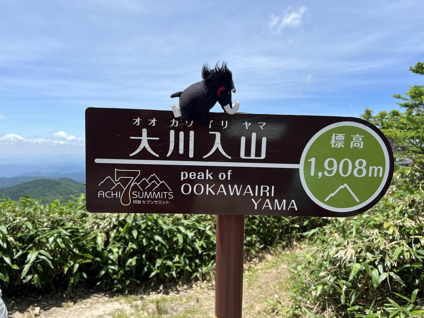 横岳・大川入山 / ISSEIさんの大川入山・横岳の活動データ | YAMAP / ヤマップ