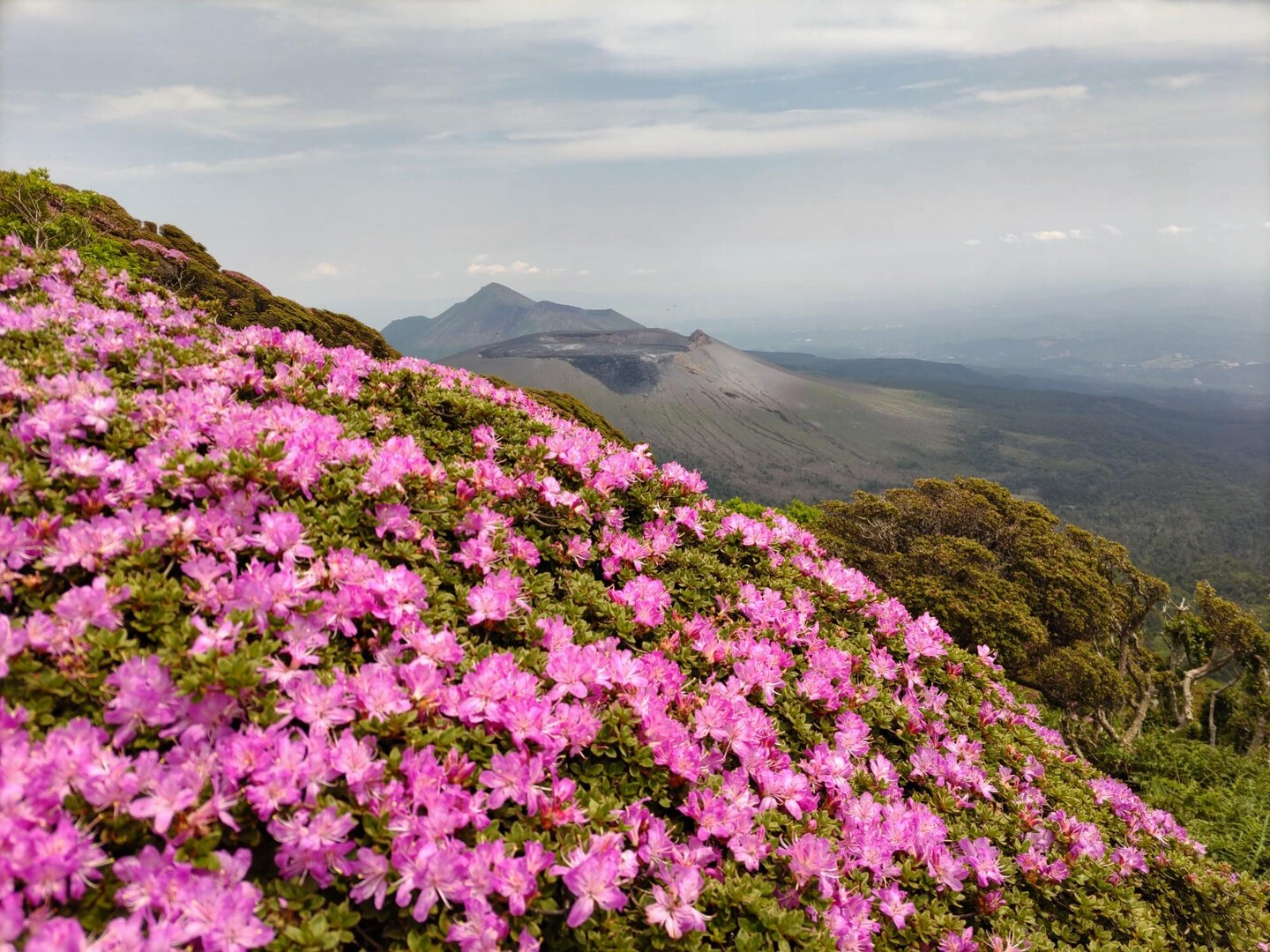 韓国岳（霧島山） / Kazhiさんの霧島山・韓国岳・高千穂峰・夷守岳・烏帽子岳の活動データ | YAMAP / ヤマップ