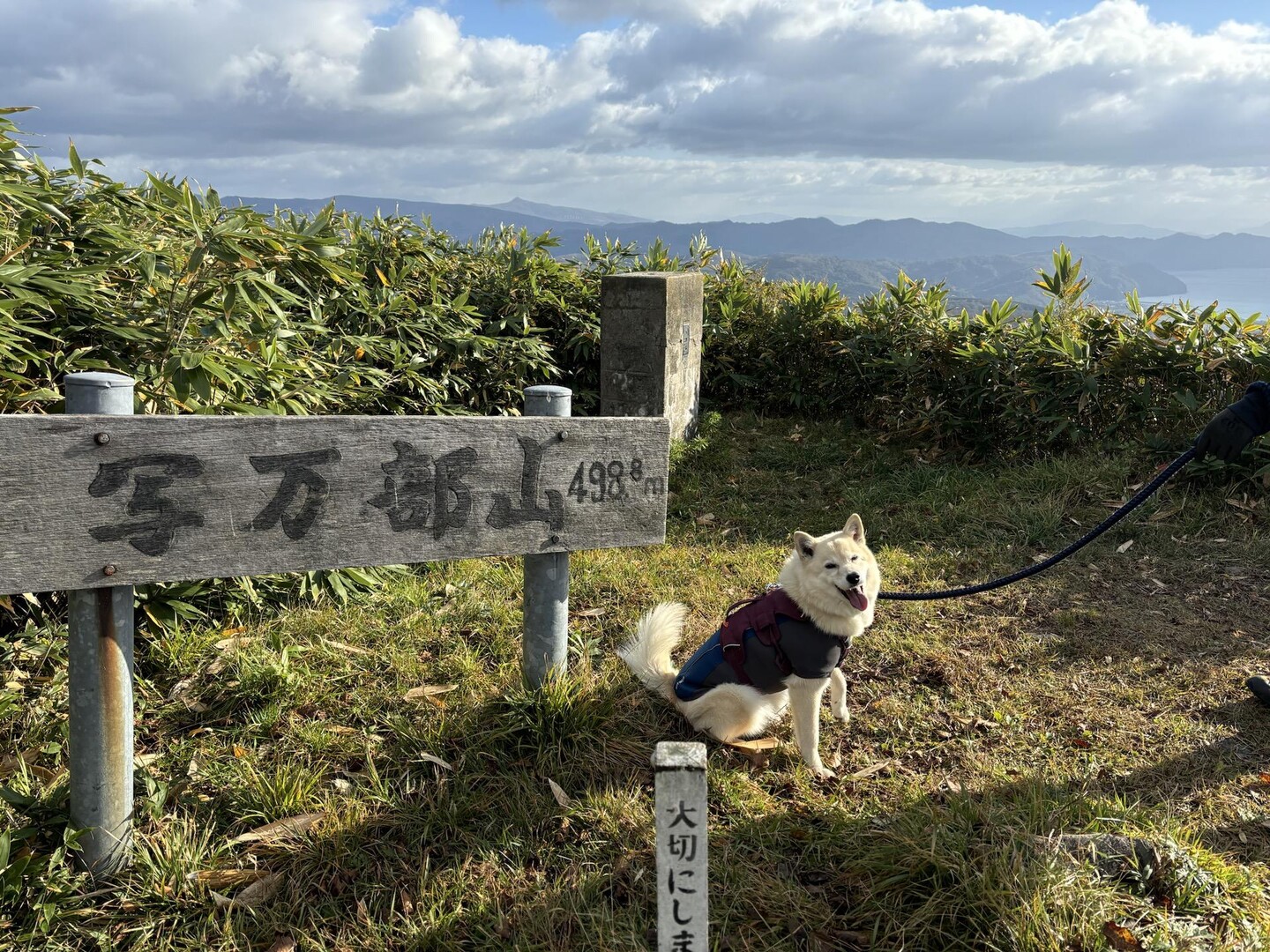 写万部山 / midoriさんの写万部山の活動データ | YAMAP / ヤマップ