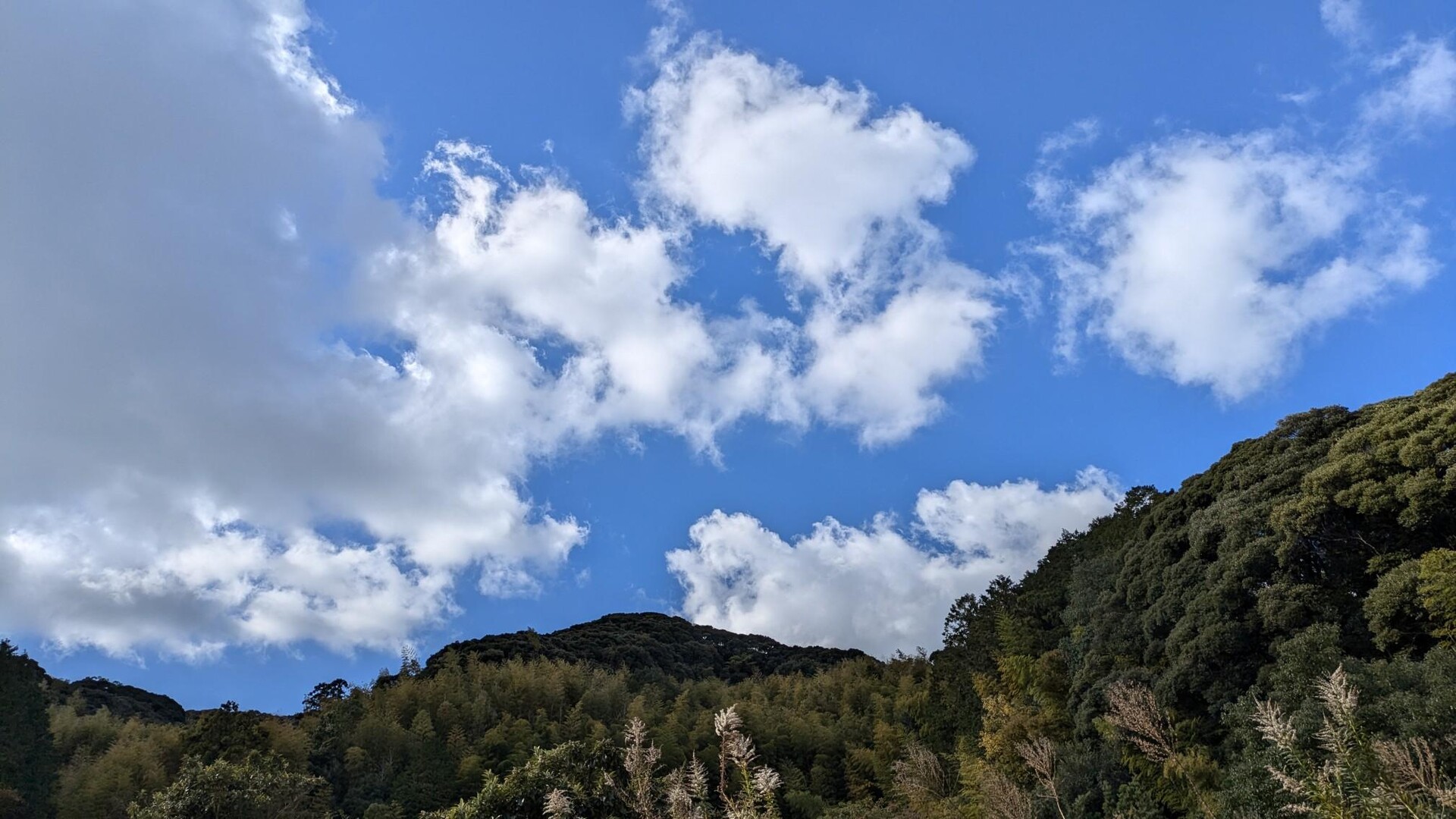 可也山🫡 / Sho_P.rabbitさんの可也山・火山の活動データ | YAMAP / ヤマップ