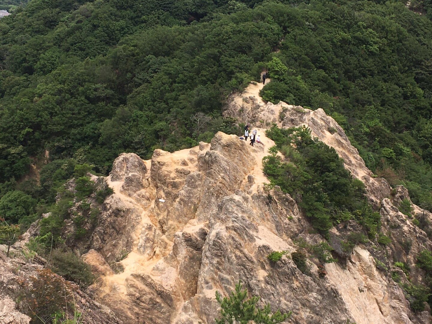 須磨アルプス / sayo_hseさんの六甲山・長峰山・摩耶山の活動データ | YAMAP / ヤマップ