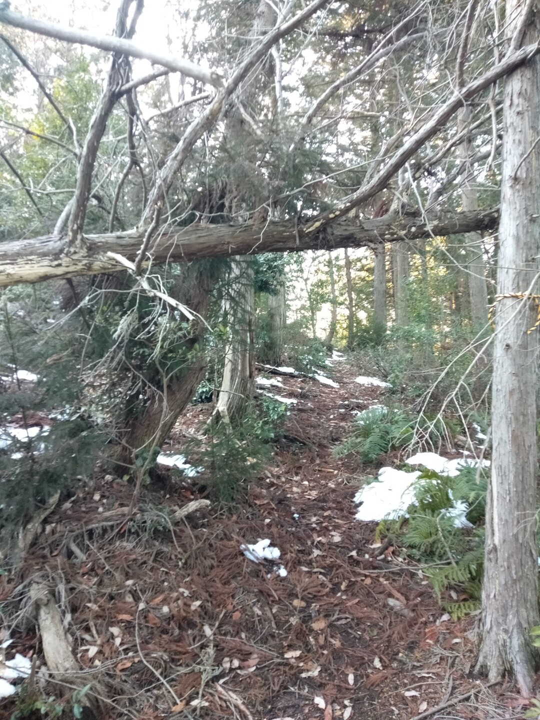 takurockさんの投稿したフィールドメモ | YAMAP / ヤマップ