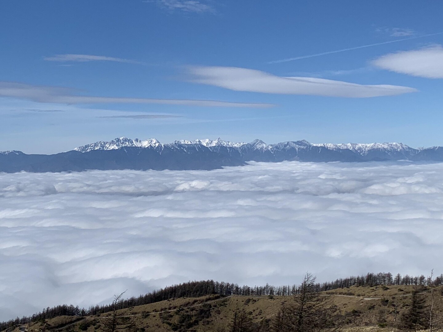 鉢伏山⛰扉温泉からピストン / jucca🍎さんの鉢伏山・高ボッチ山・三峰山の活動データ | YAMAP / ヤマップ