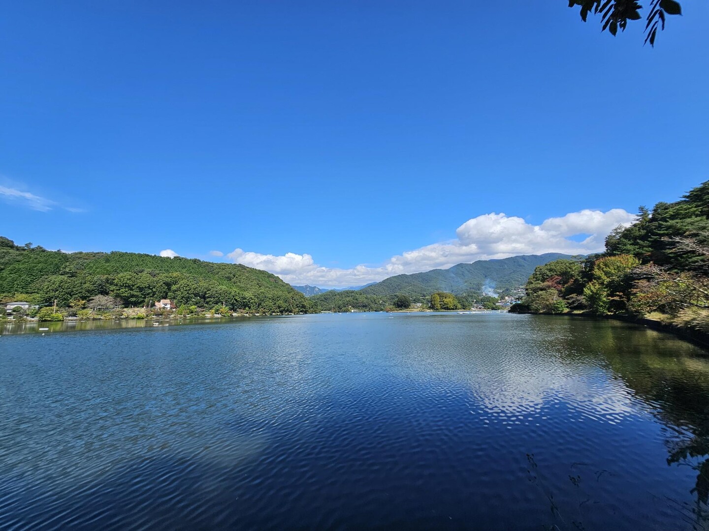八王子山（白山） / naka-zさんの興因寺山・淡雪山・八王子山の活動データ | YAMAP / ヤマップ