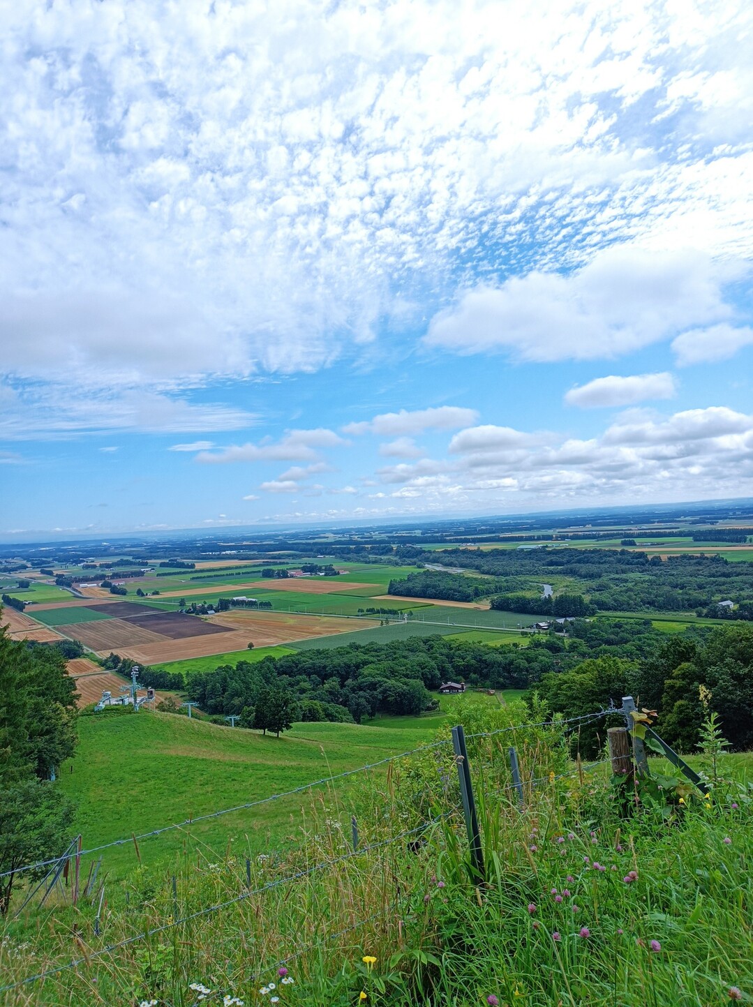 新嵐山に4回登頂 / KAI!さんの芽室岳・久山岳・剣山の活動データ | YAMAP / ヤマップ