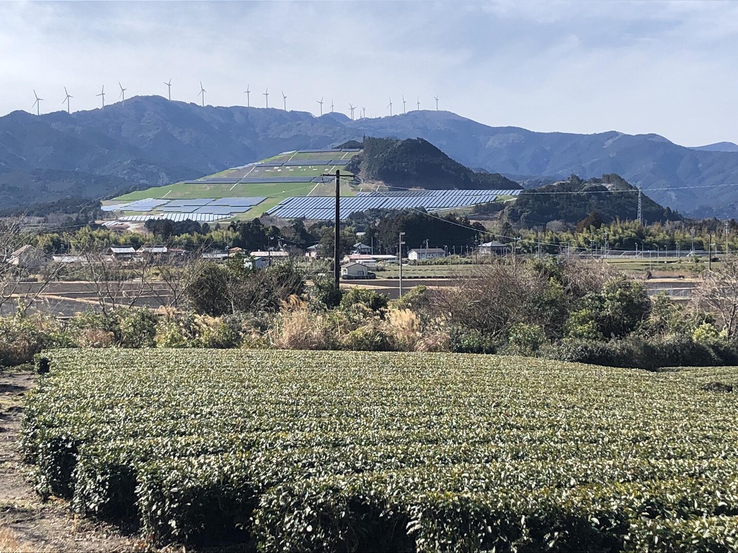 大日山 / pixyさんの国束山・大日山の活動データ | YAMAP / ヤマップ