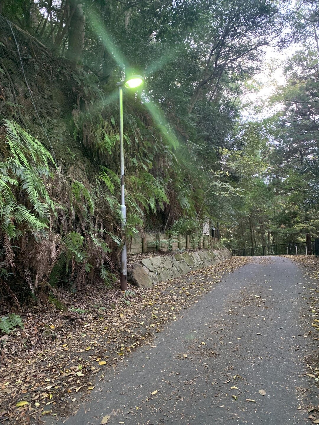 兜山 / pu_sanさんの音羽山・醍醐山の活動データ | YAMAP / ヤマップ