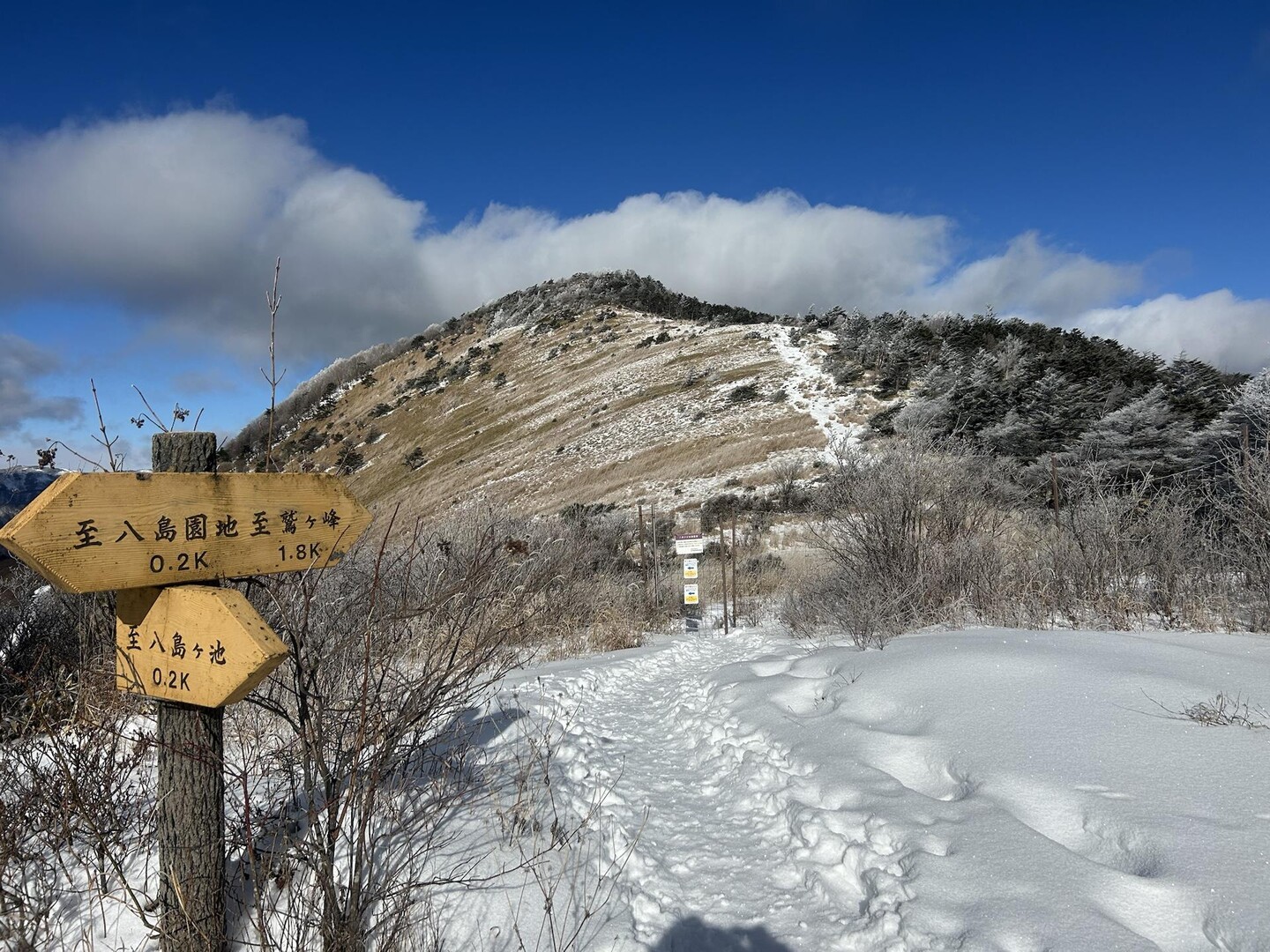鷲ヶ峰&八島湿原散歩 / ゆうきちさんの霧ヶ峰・車山・大笹峰の活動日記 | YAMAP / ヤマップ