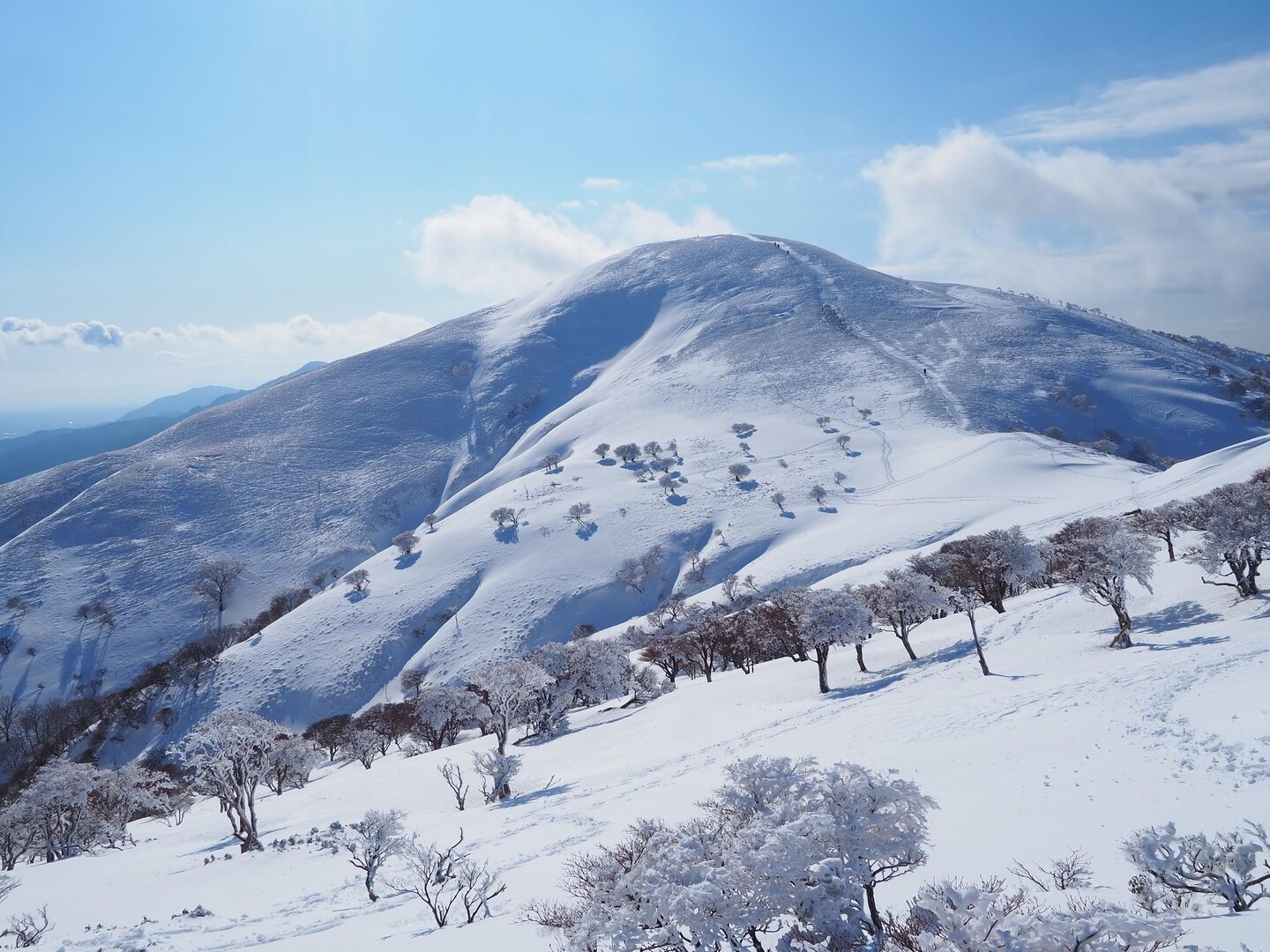 竜ヶ岳 ️ - 20221228 / Tadaboxさんの竜ヶ岳の活動データ | YAMAP / ヤマップ