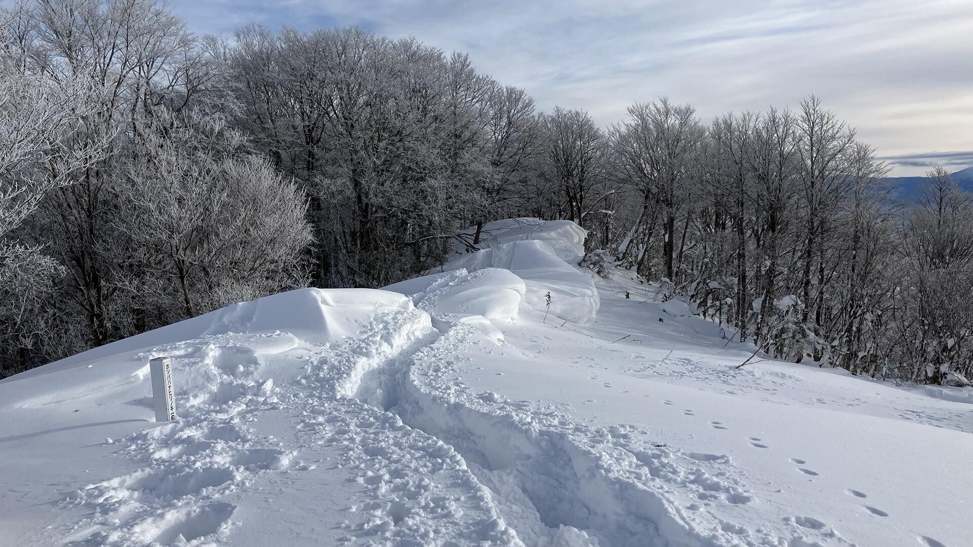 南昌山・東根山・箱ヶ森-2025-01-19 / eijiさんの南昌山・東根山・箱ヶ森の活動データ | YAMAP / ヤマップ