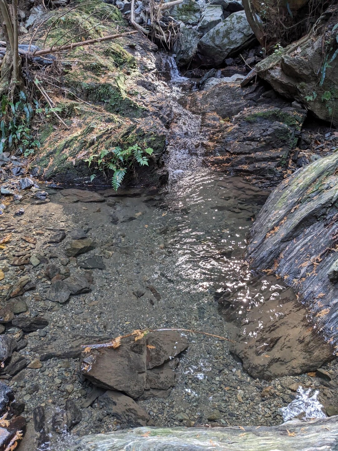 兜山近くを散策 / mkhkさんの高良山・発心山・鷹取山の活動データ | YAMAP / ヤマップ