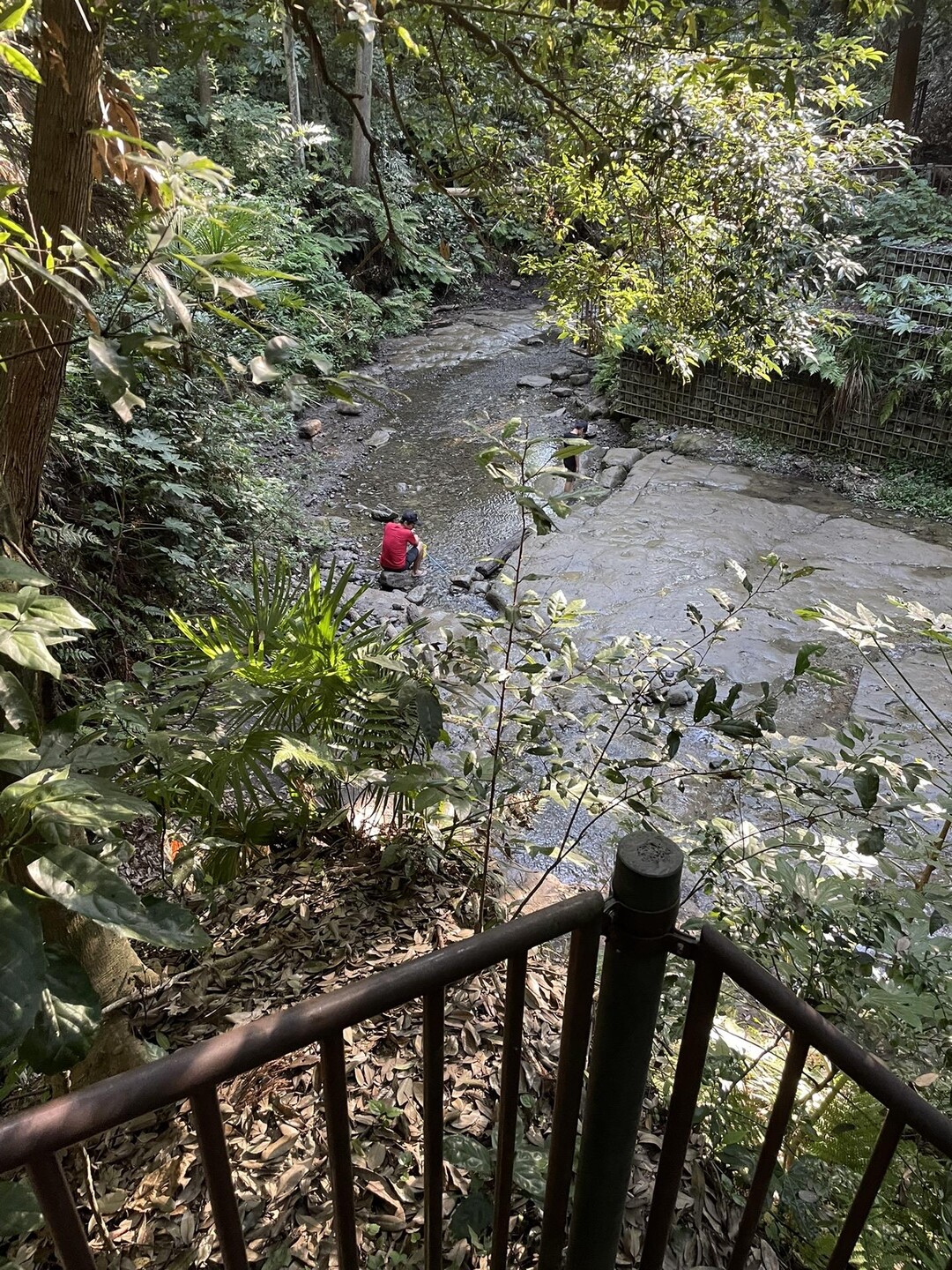 陣ケ下渓谷公園内散策 / s06007さんのウォーキングの活動データ | YAMAP / ヤマップ