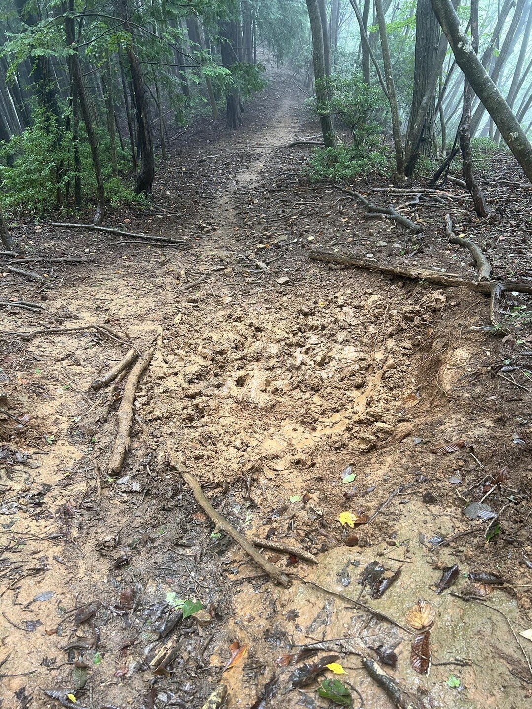 武川岳 / MC HIROさんの武甲山・伊豆ヶ岳・小持山の活動データ | YAMAP / ヤマップ