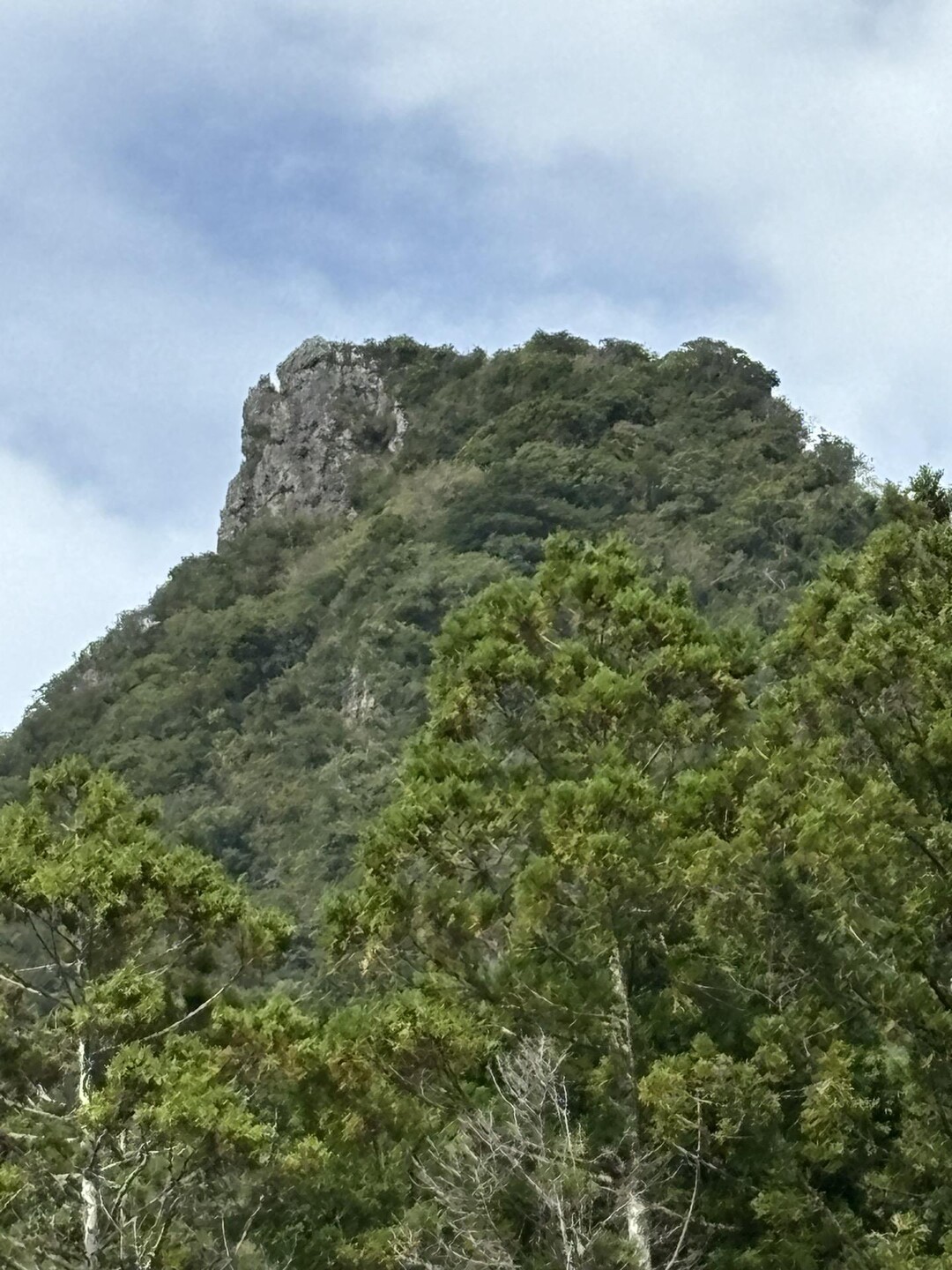 伊予ヶ岳(南峰)・伊予ヶ岳(北峰) / drankmonkeyさんの伊予ヶ岳・人骨山・津森山の活動データ | YAMAP / ヤマップ