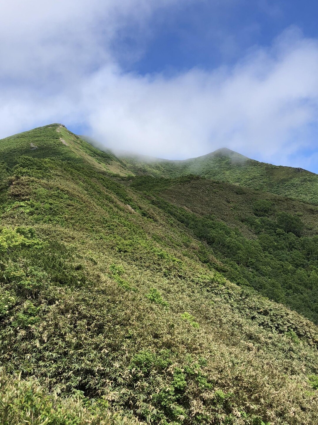 ニセコアンヌプリ・ニセコアンヌプリ（南峰） / mamikoさんのニセコアンヌプリ・イワオヌプリ・チセヌプリの活動データ | YAMAP / ヤマップ
